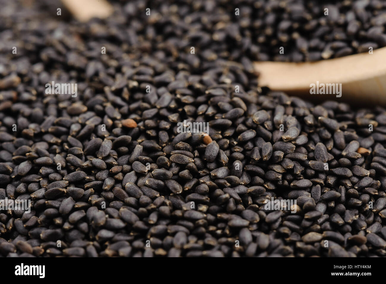 closeup heap of sweet basil seeds, abstract food ingredient Stock Photo ...