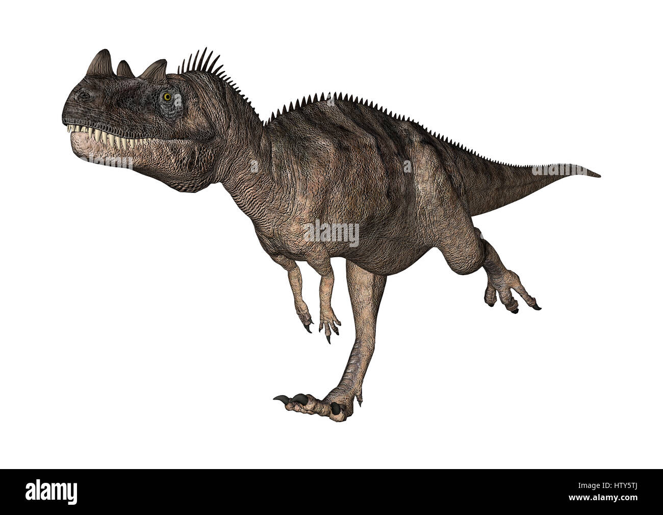 3D rendering of a dinosaur Ceratosaurus isolated on white background ...