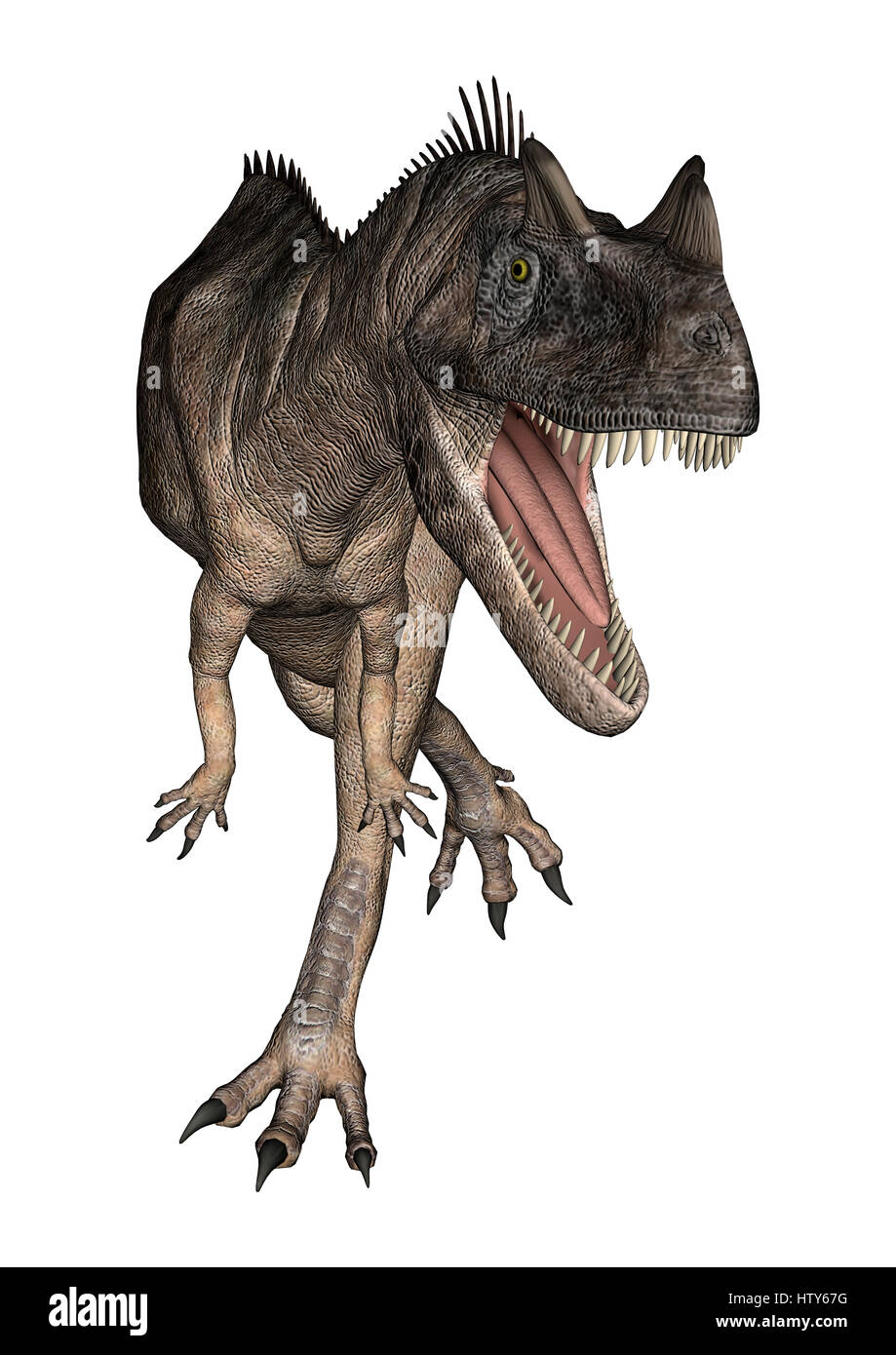 3D rendering of a dinosaur Ceratosaurus isolated on white background ...