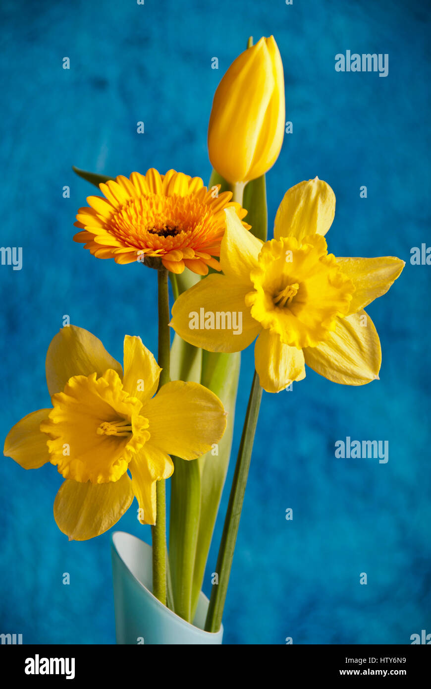 bunch of yellow flowers, tulip, daisy and daffodils Stock Photo - Alamy