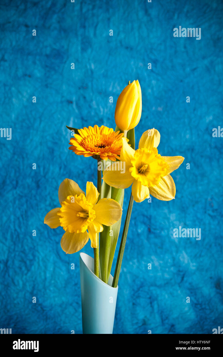 bunch of yellow flowers, tulip, daisy and daffodils Stock Photo - Alamy