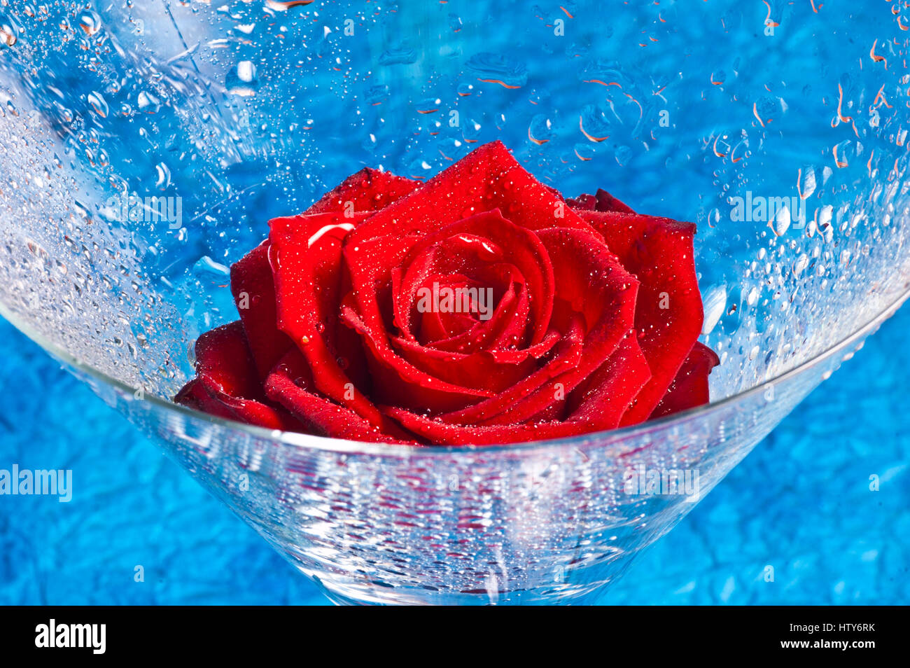 red rose inside a glass Stock Photo - Alamy