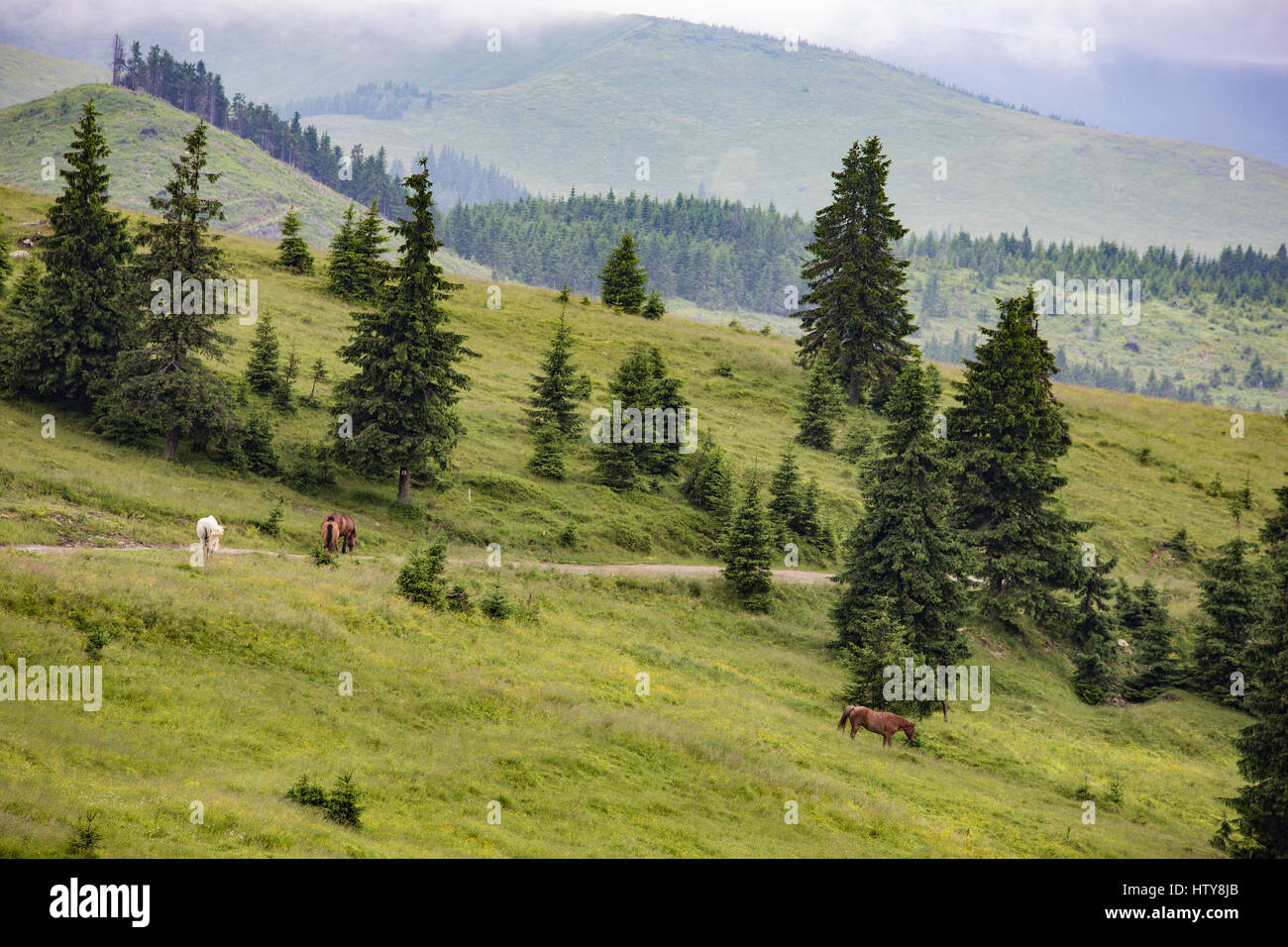Walking tour through the romanian countryside, maramures mountains ...