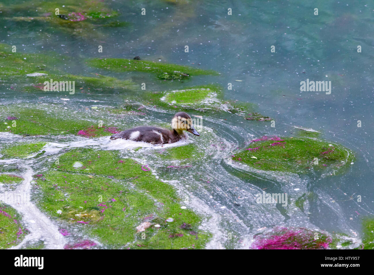 Rash protection hi-res stock photography and images - Alamy