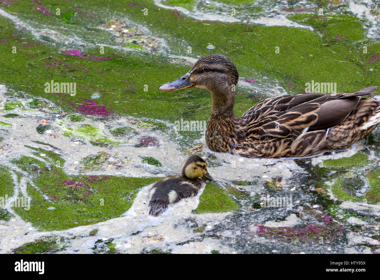 Rash protection hi-res stock photography and images - Alamy