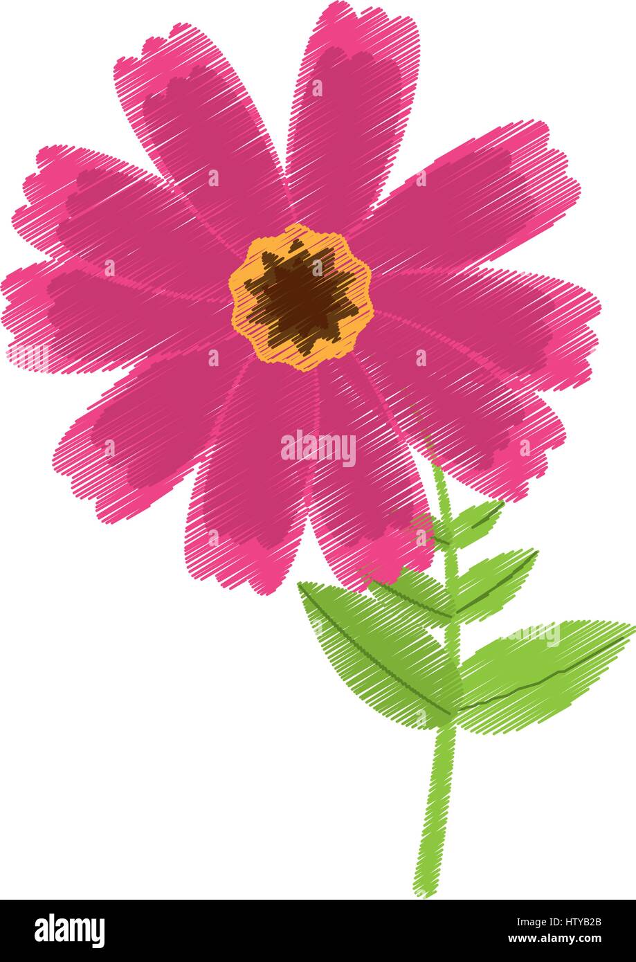 Wild cosmos flower Stock Vector Images - Alamy