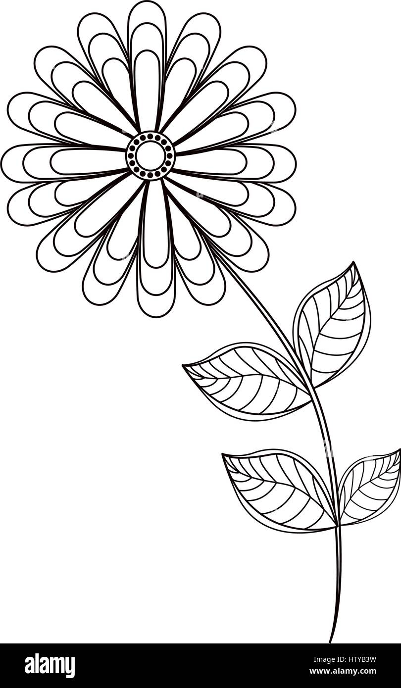 flower spring season line Stock Vector Image & Art - Alamy