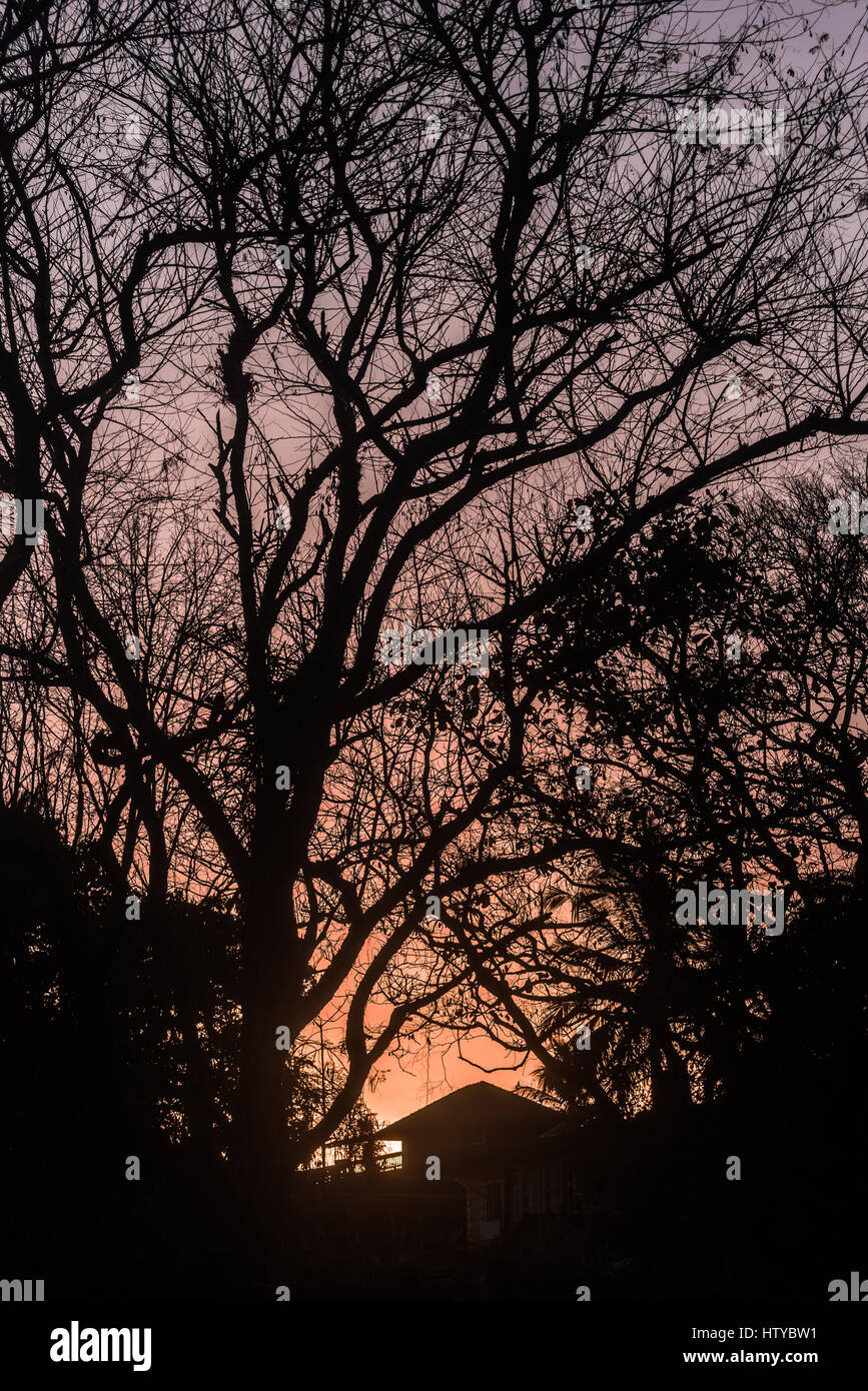 Romantic day start hi-res stock photography and images - Alamy