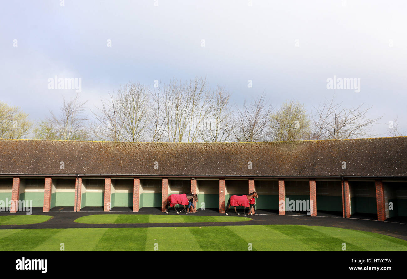 Horses are given experience of the pre parade ring before Racing on ...