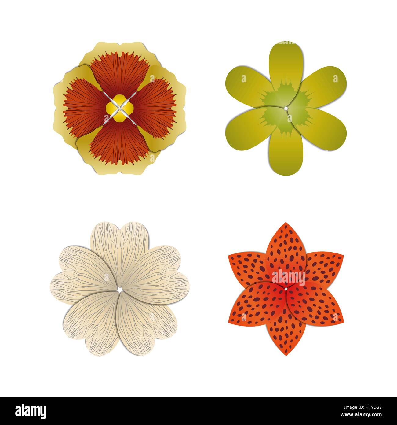 Flower buds vector design elements isolated on white background Stock ...