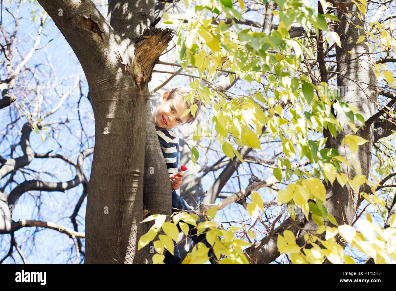 Boy climbing a tree Stock Photo - Alamy