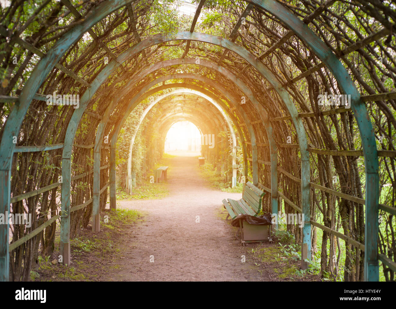 Ark of trees in the park Stock Photo - Alamy