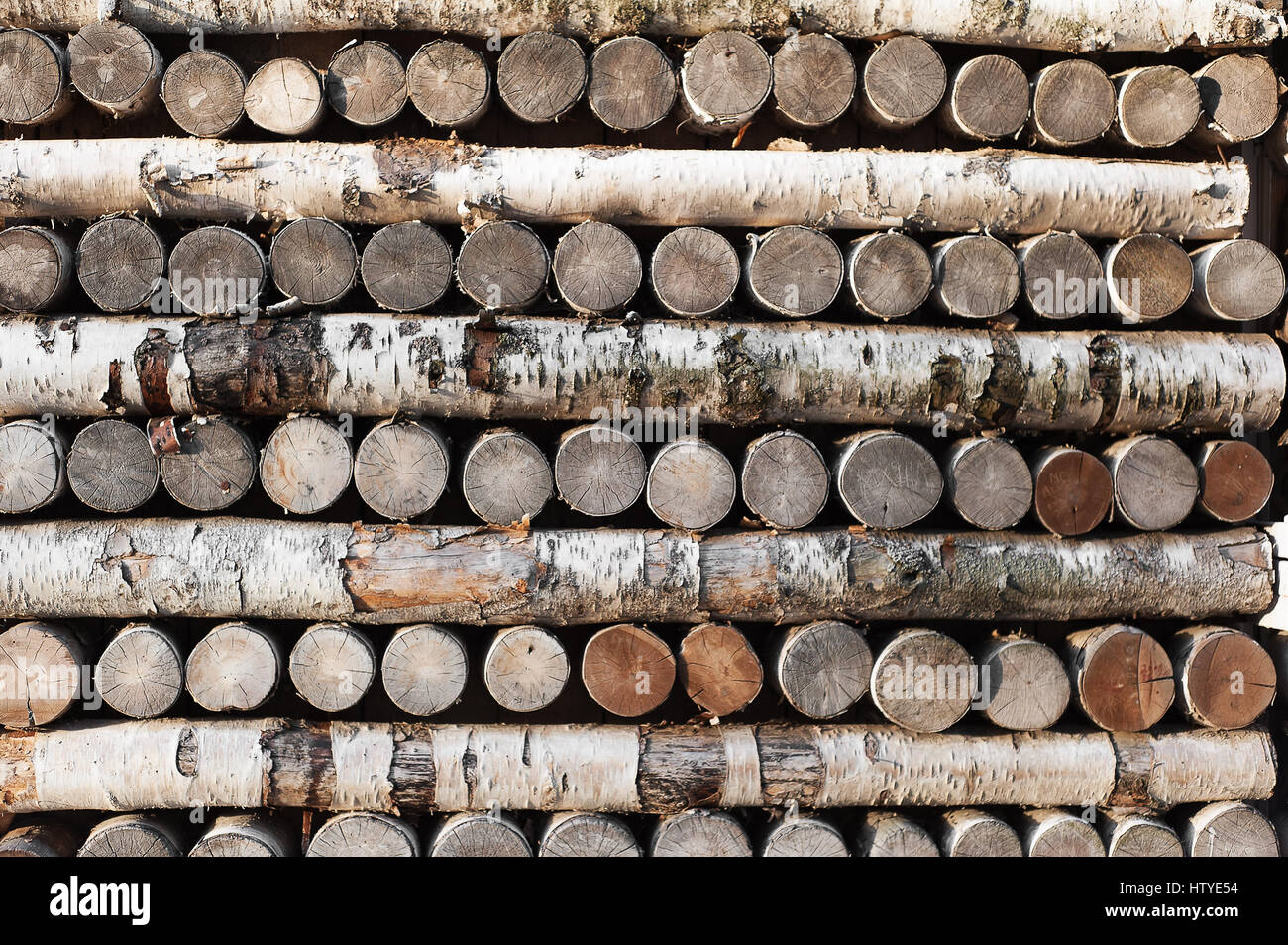 Wall of old birch logs Stock Photo - Alamy