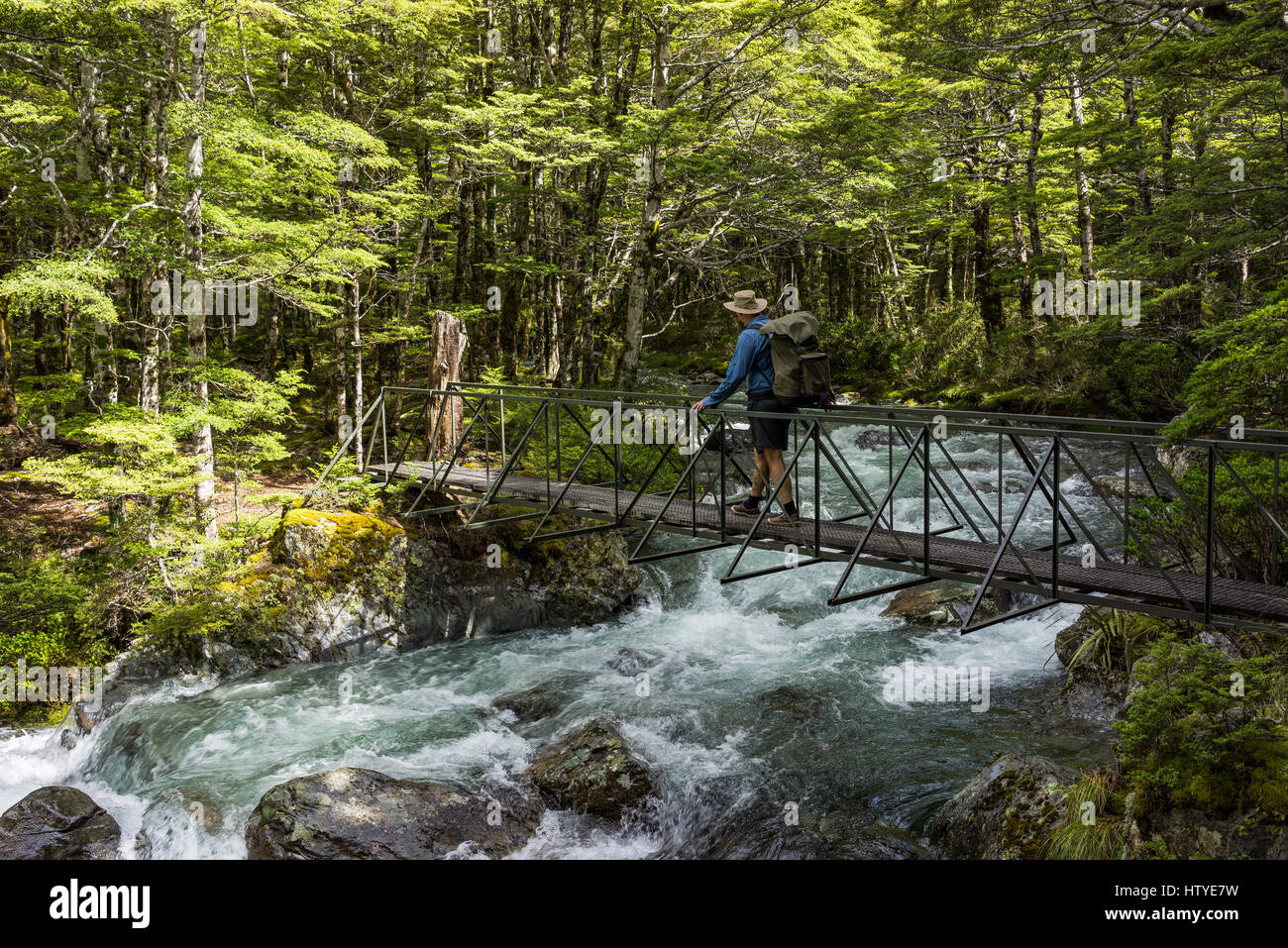 Sabine national forest hi-res stock photography and images - Alamy
