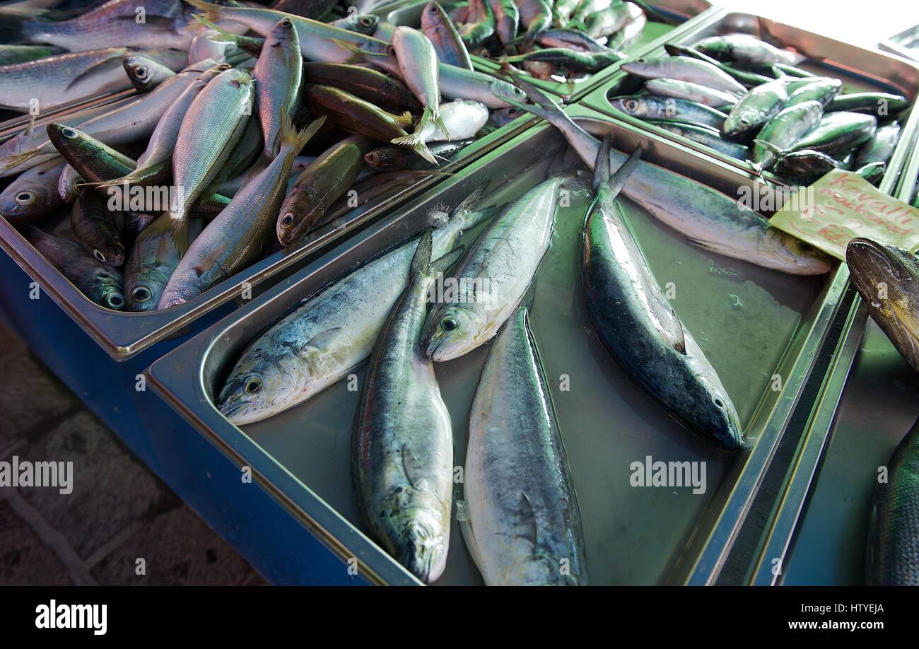 Fresh fish at fish market, Marsaxlokk, Malta Stock Photo - Alamy
