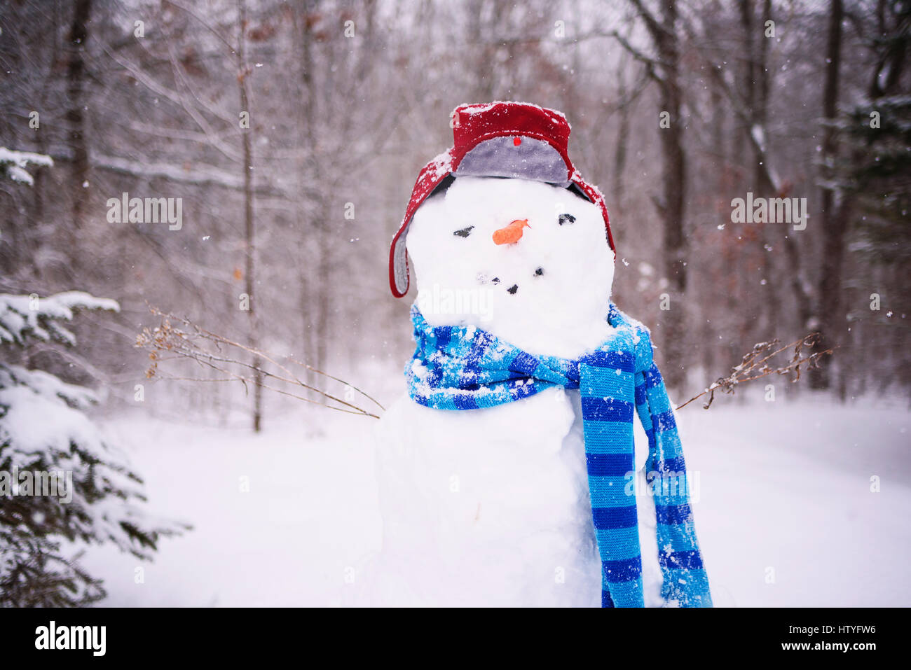 Snowman wearing a hat and scarf Stock Photo - Alamy