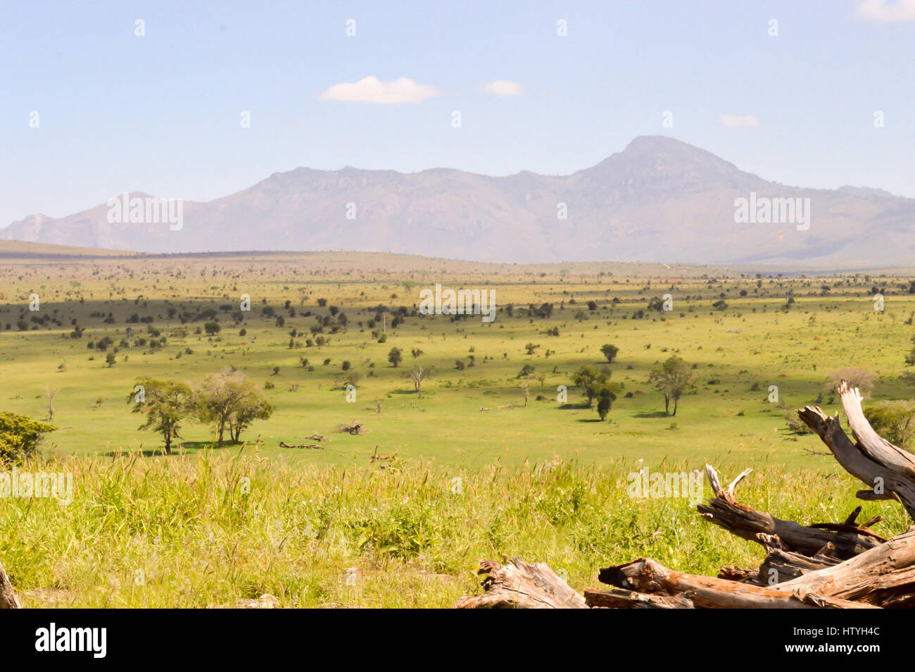 Savannah kenya mountains hi-res stock photography and images - Alamy