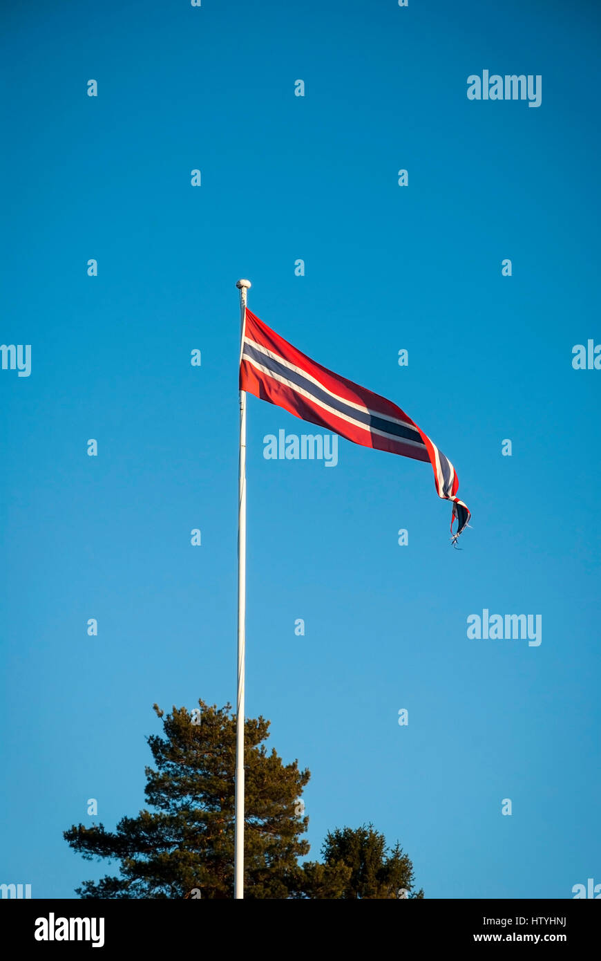 Viking emblem hi-res stock photography and images - Alamy
