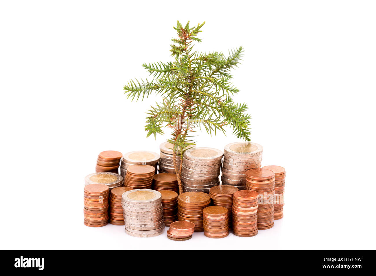 Coins and tree isolated on white background Stock Photo - Alamy