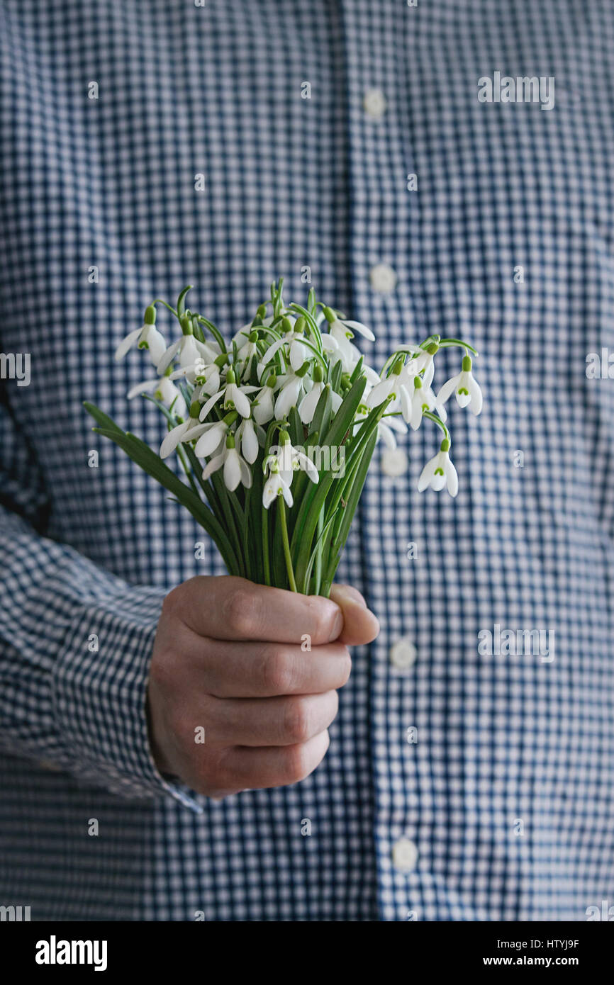 Bouquet of wild snowdrops in male hands. Man in blue and white ...