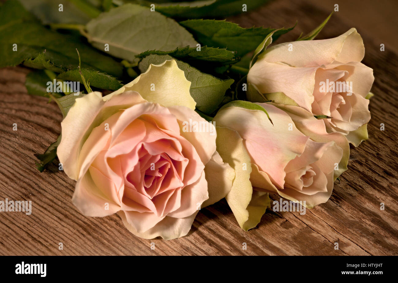 Bouquet three roses on Wooden Background Stock Photo - Alamy