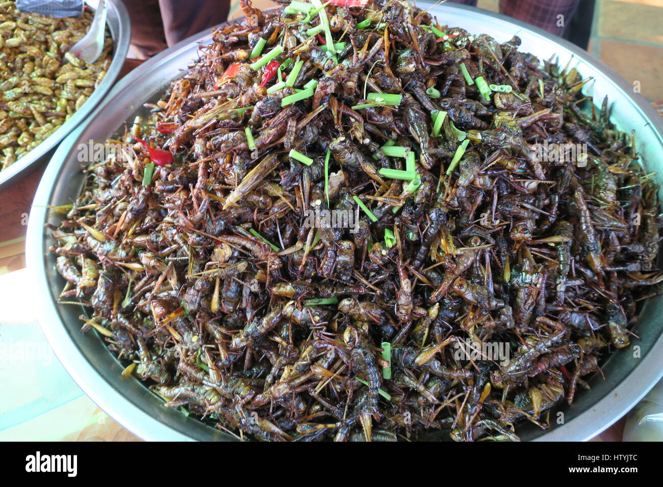 Fried grasshoppers on a street market in Cambodia Stock Photo - Alamy