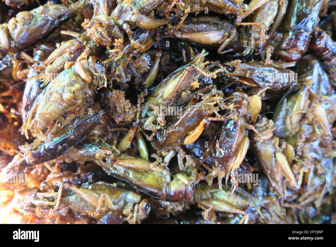 Fried grasshopper on a street market in Cambodia Stock Photo - Alamy