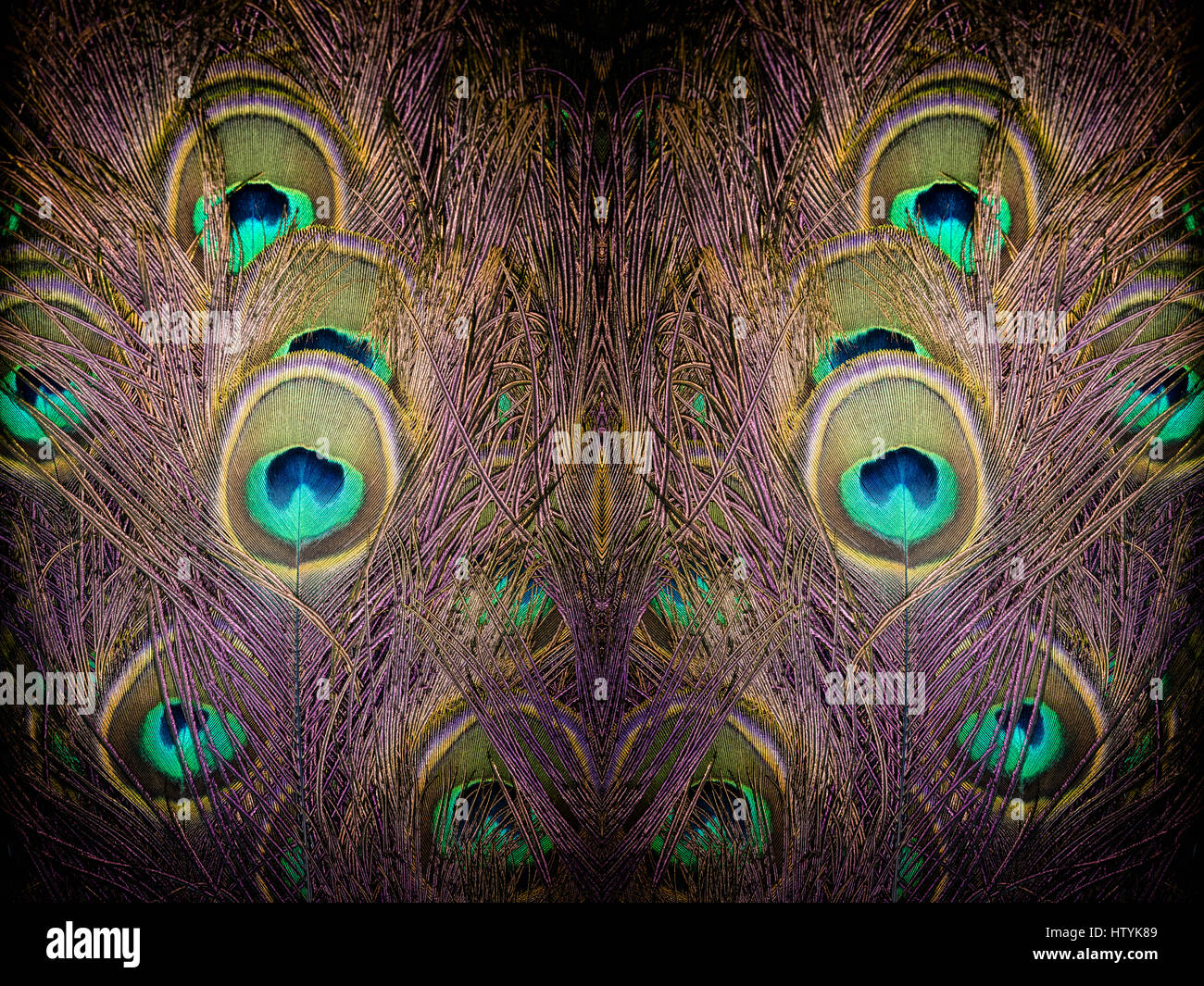 Ongoing personal project - Pierre the Peacock. Picture date: Tuesday ...