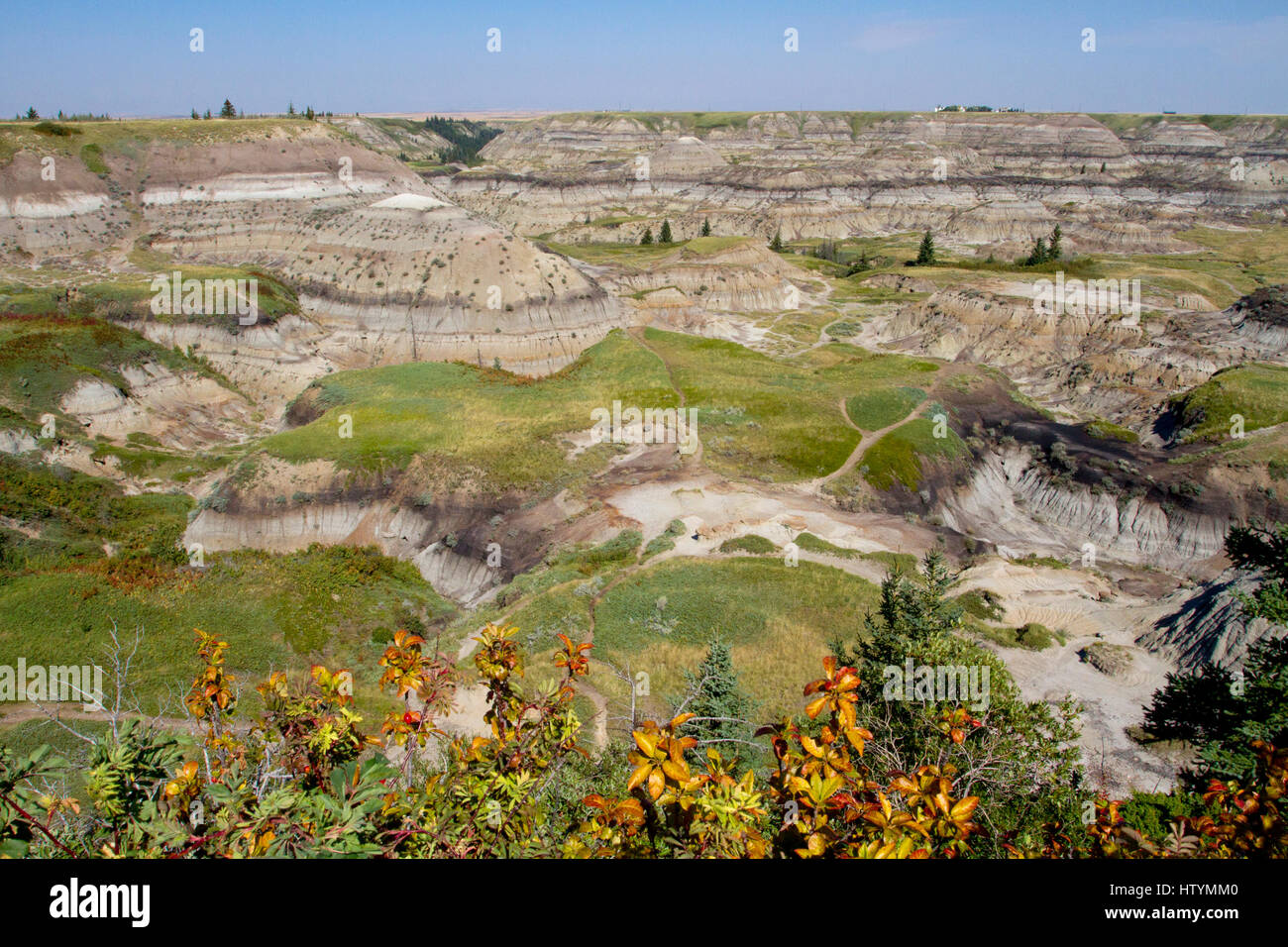 Horseshoe canyon alberta hi-res stock photography and images - Alamy
