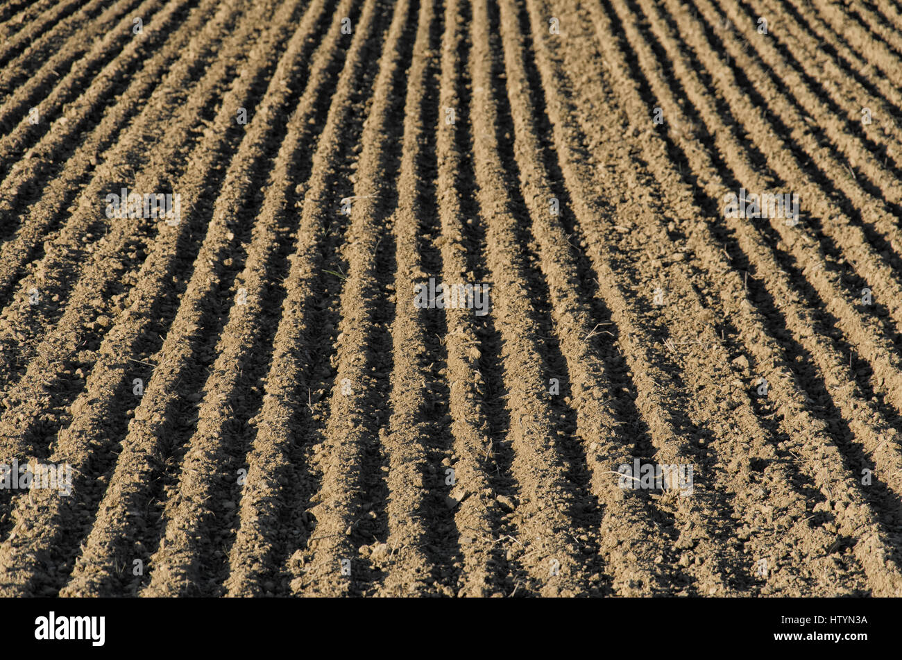 Furrow