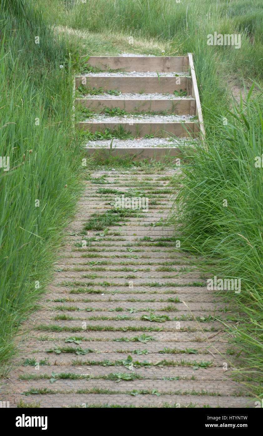 Wooden steps on a coastal path Stock Photo - Alamy
