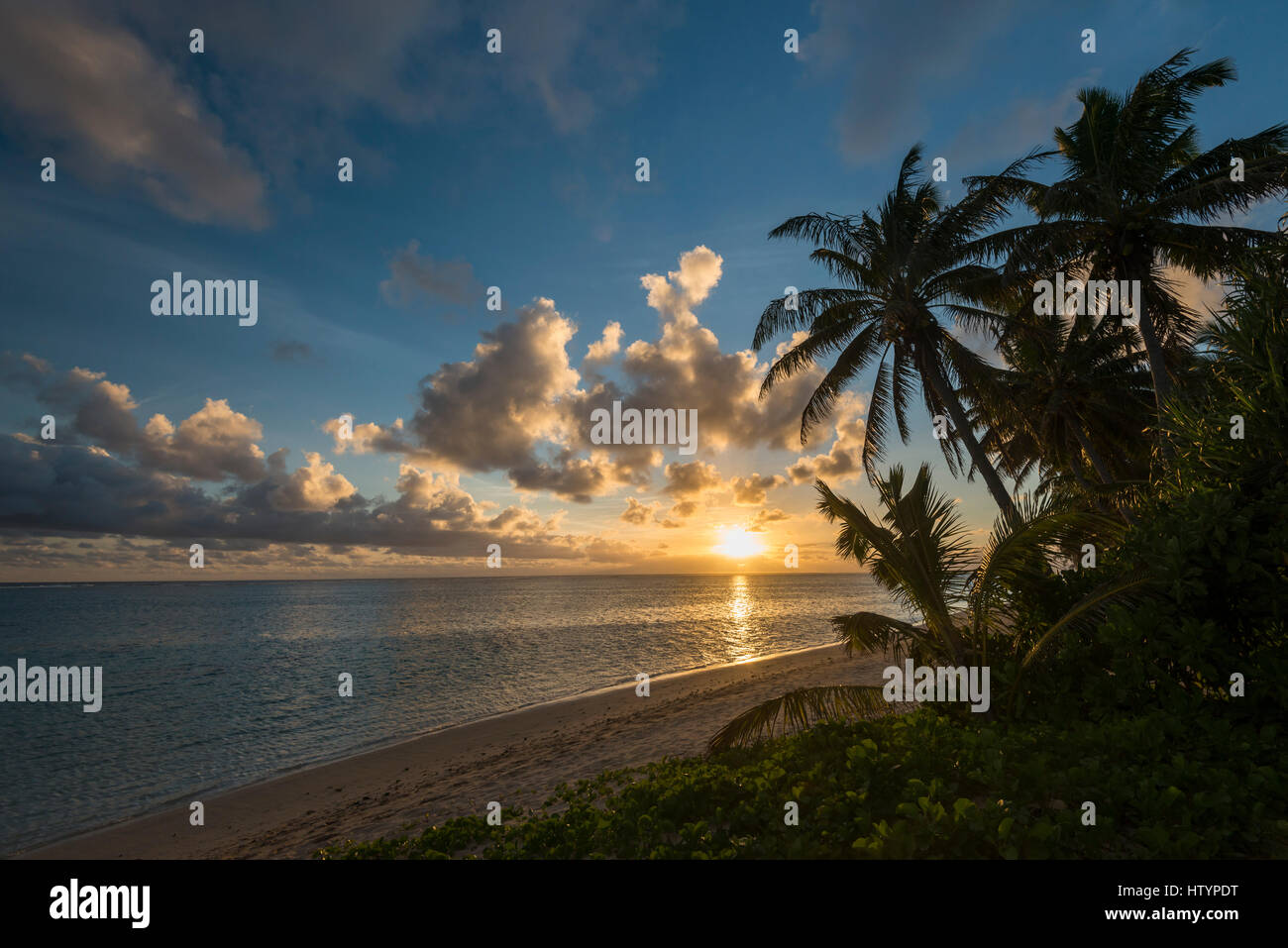 Sandy beach with palm trees at sunset, Rarotonga, Cook Islands Stock ...