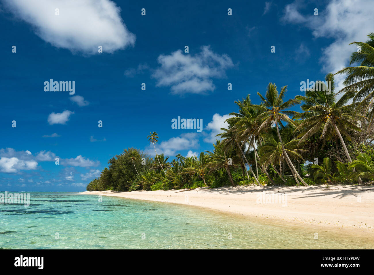 Sandy beach with palm trees and turquoise water, Rarotonga, Cook ...