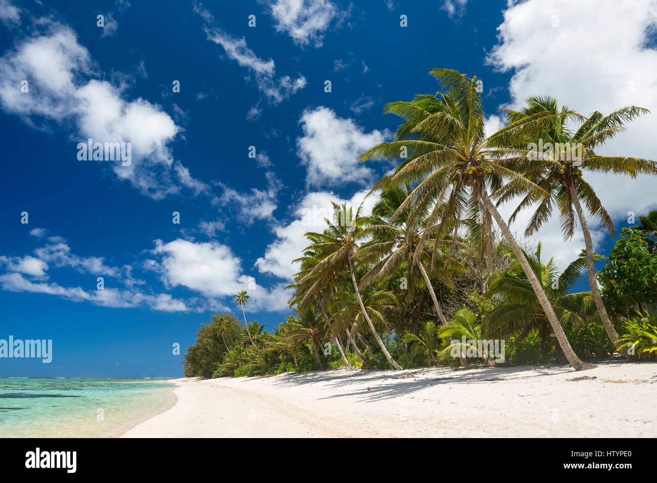 Sandy beach with palm trees and turquoise water, Rarotonga, Cook ...