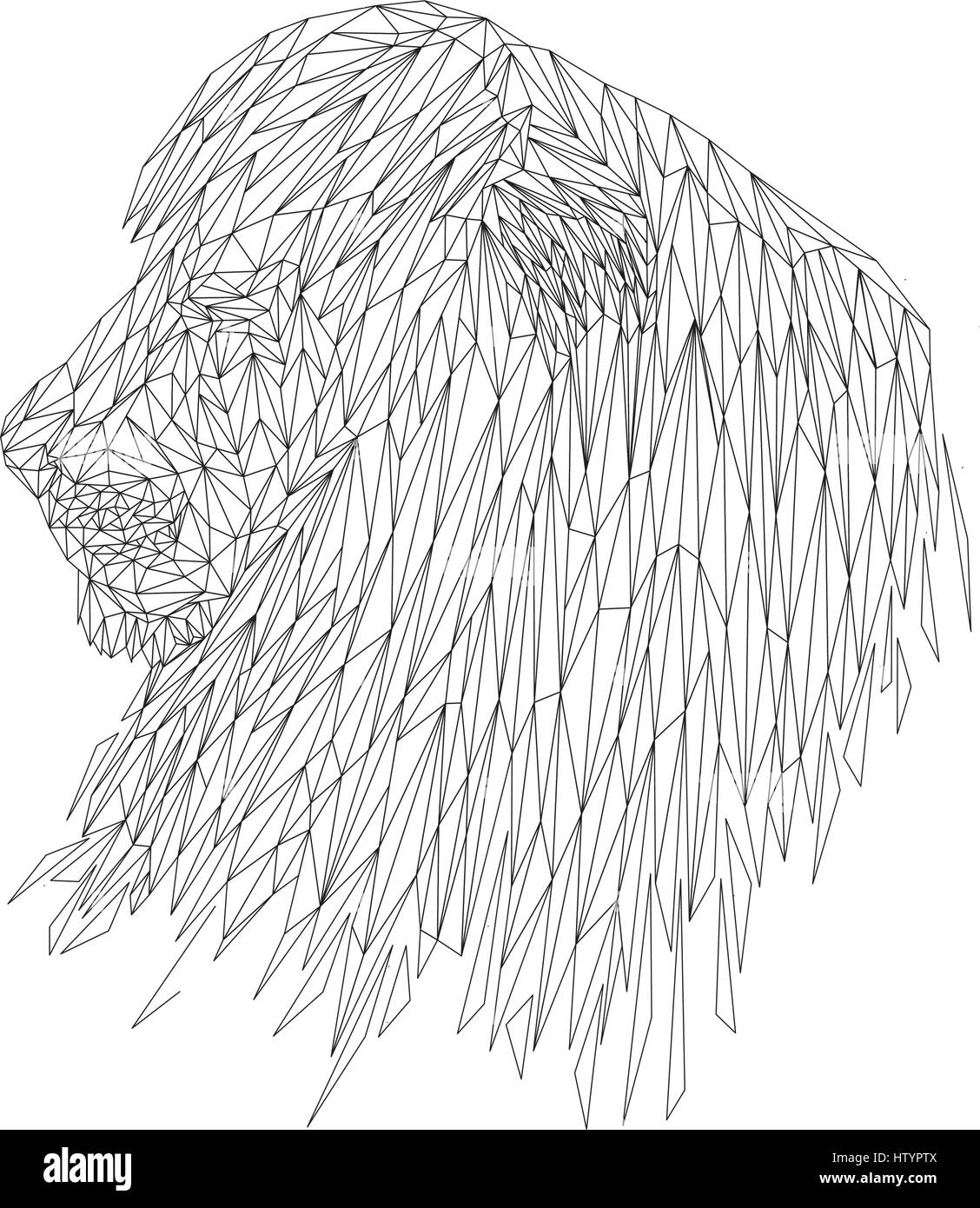 Lion animal low poly design. Triangle vector illustration Stock Vector ...