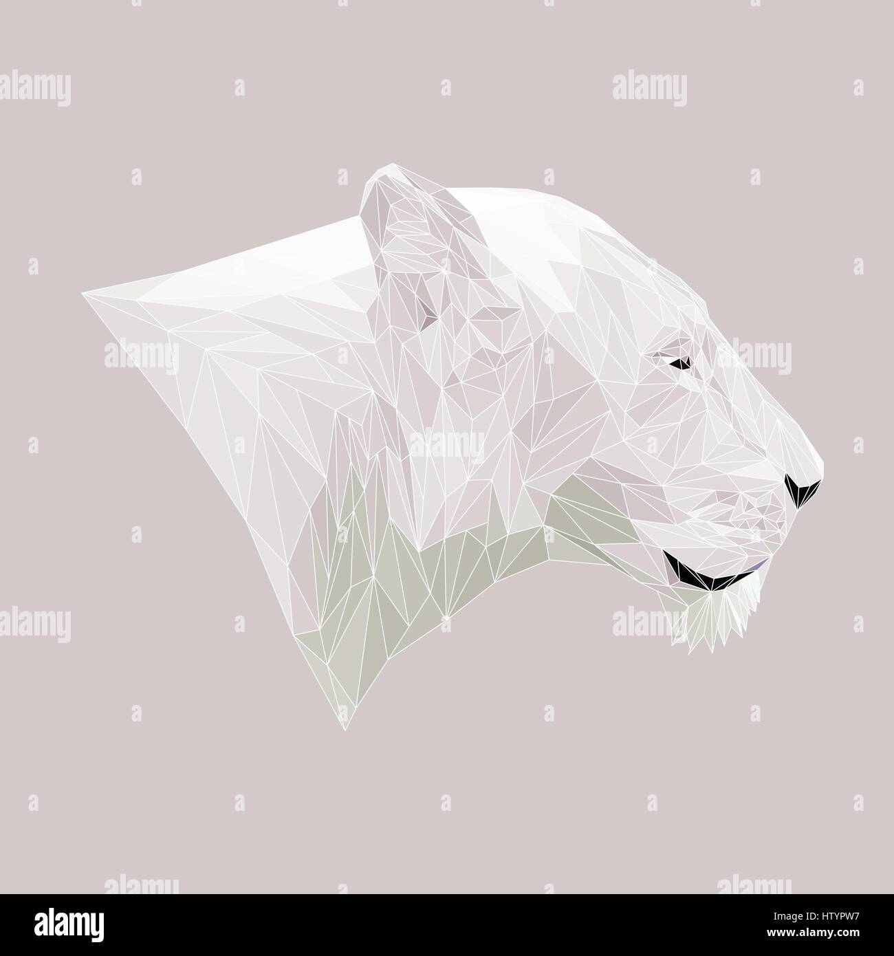 Creative lioness design hi-res stock photography and images - Alamy