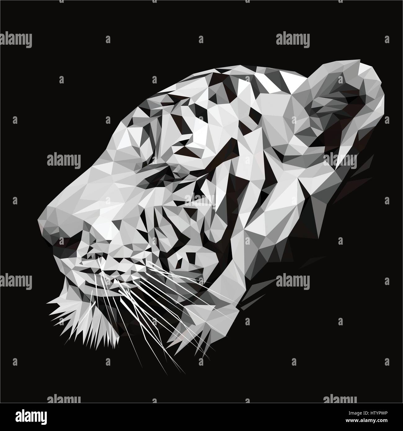 Tiger animal low poly design. Triangle vector illustration Stock Vector ...