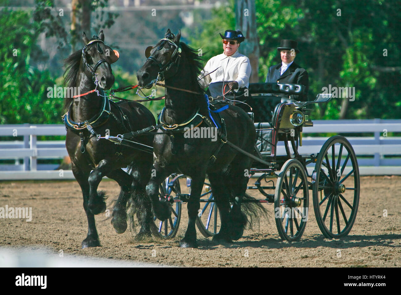 Woman driving horse drawn wagon hi-res stock photography and images - Alamy