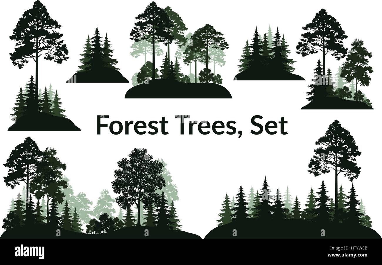 Tree silhouettes coniferous forest Stock Vector Images - Alamy