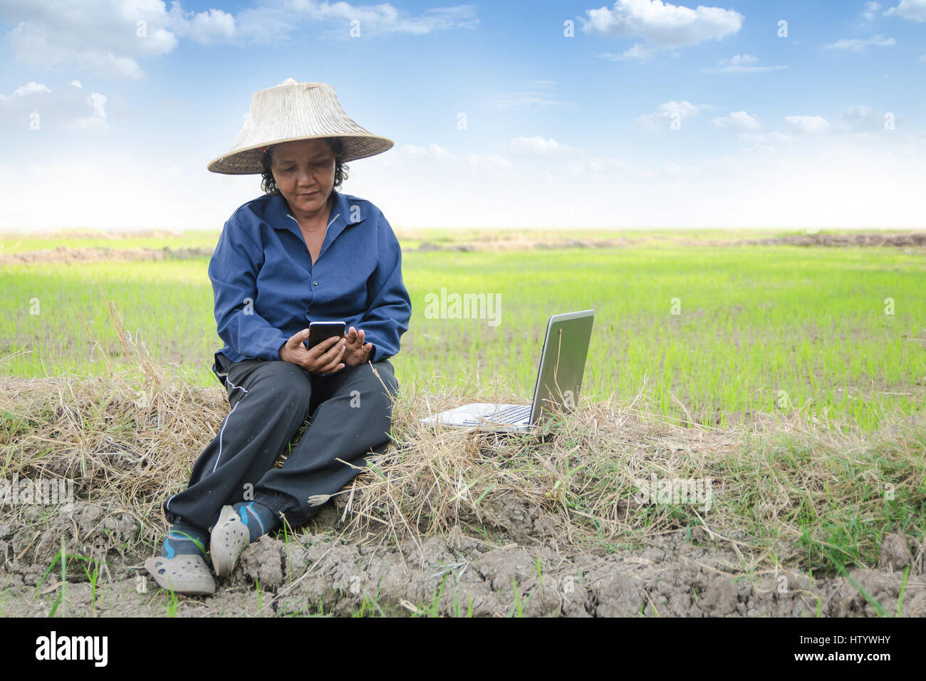 Asian Thai farmer using smartphone and laptop computer in the rice ...