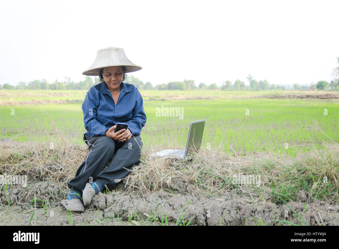 Asian Thai farmer using smartphone and laptop computer in the rice ...
