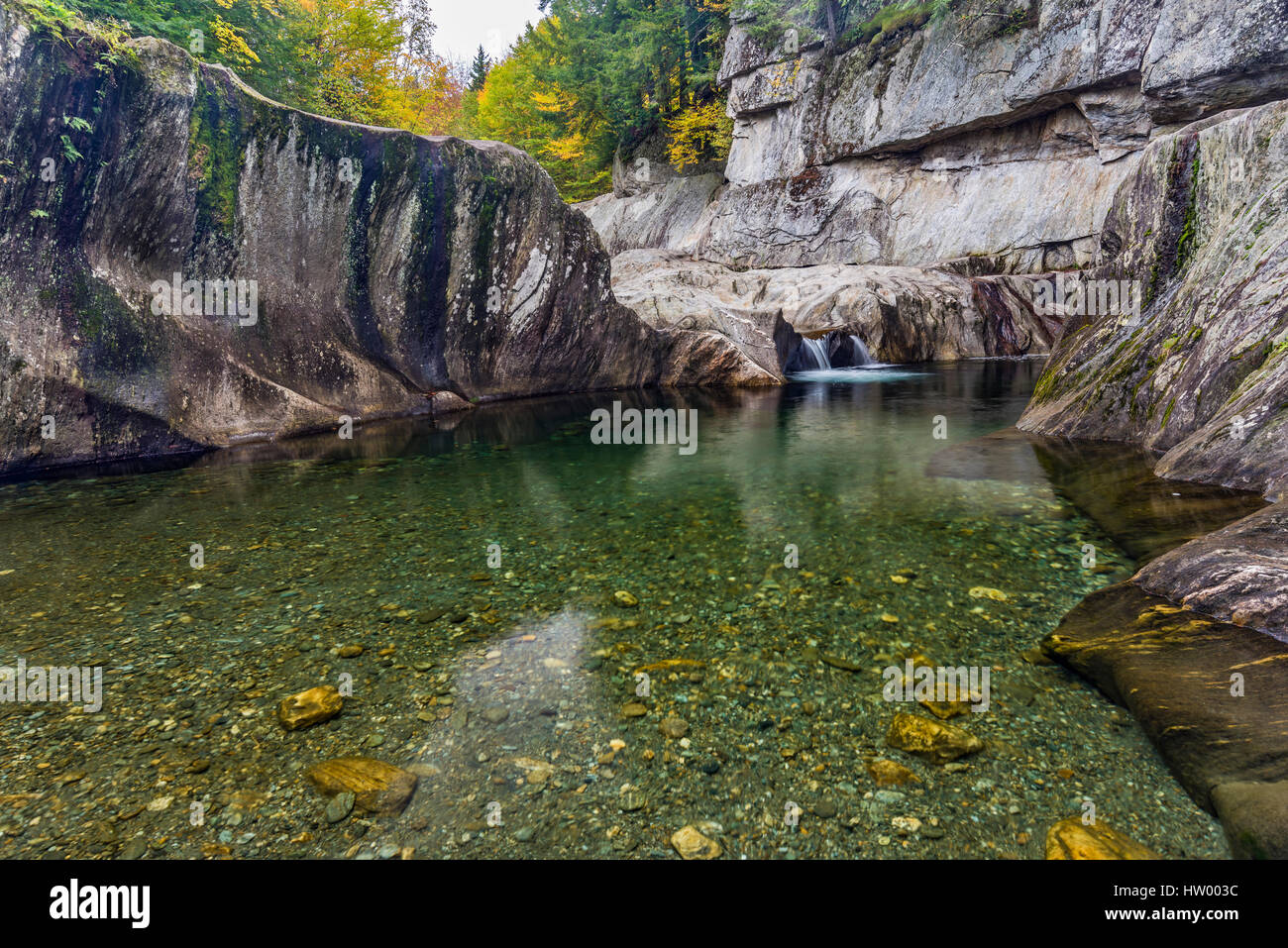 Forest green mountain forest hi-res stock photography and images - Alamy