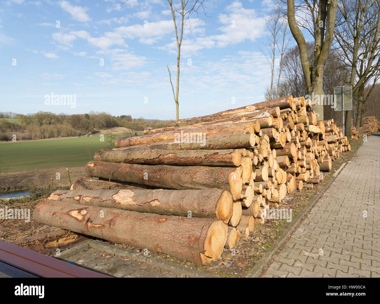 Log wald hi-res stock photography and images - Alamy