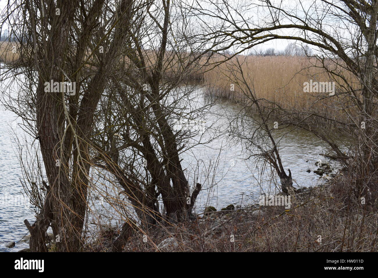 Batina hrvatska hi-res stock photography and images - Alamy
