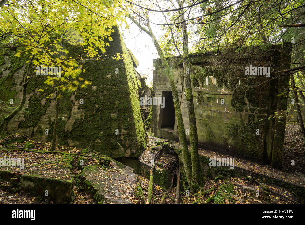 Wolfs Lair Adolf Hitlers Bunker Poland First Eastern Wolf's Lair: