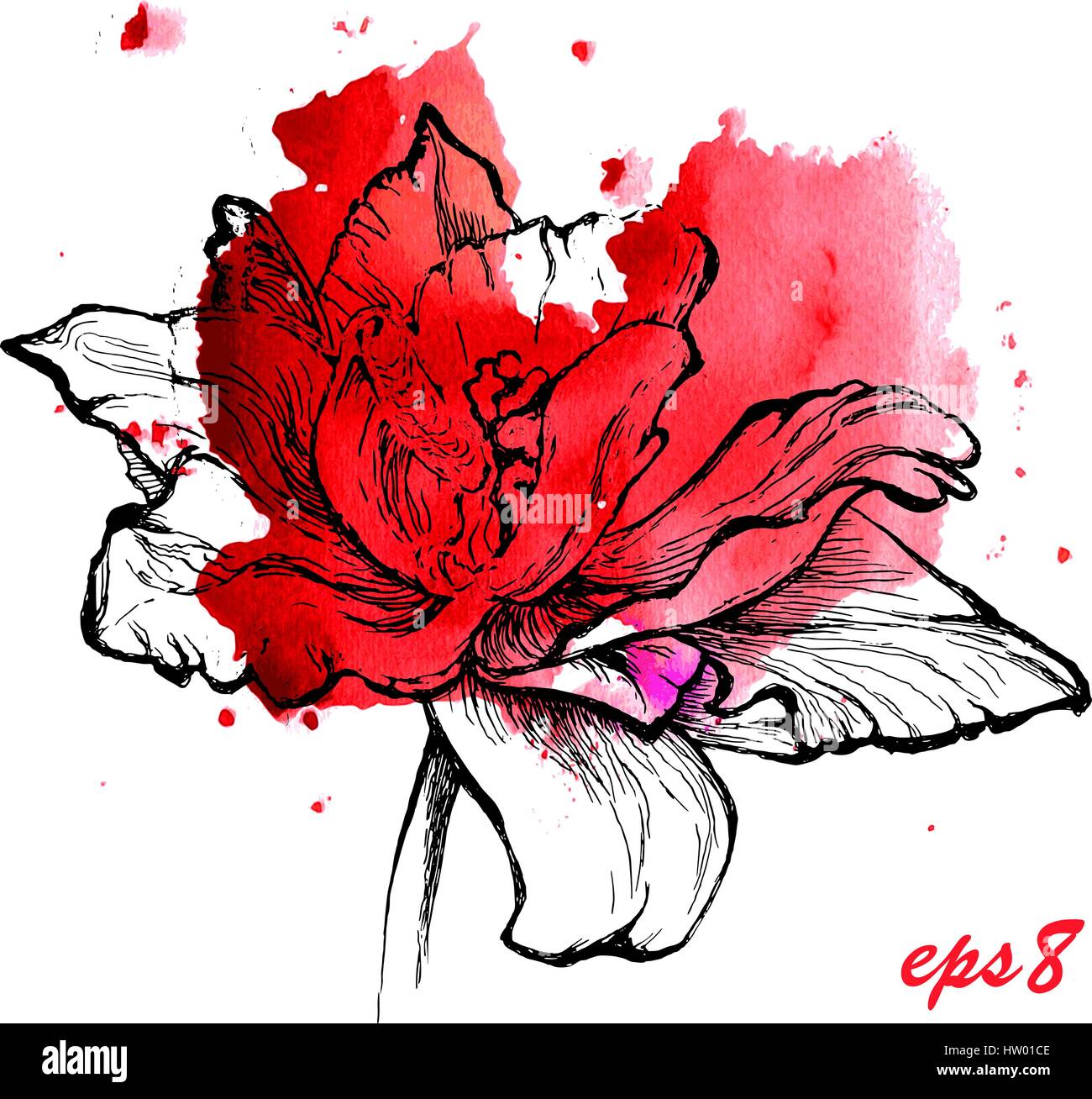 Red tulip abstract Stock Vector Images - Alamy