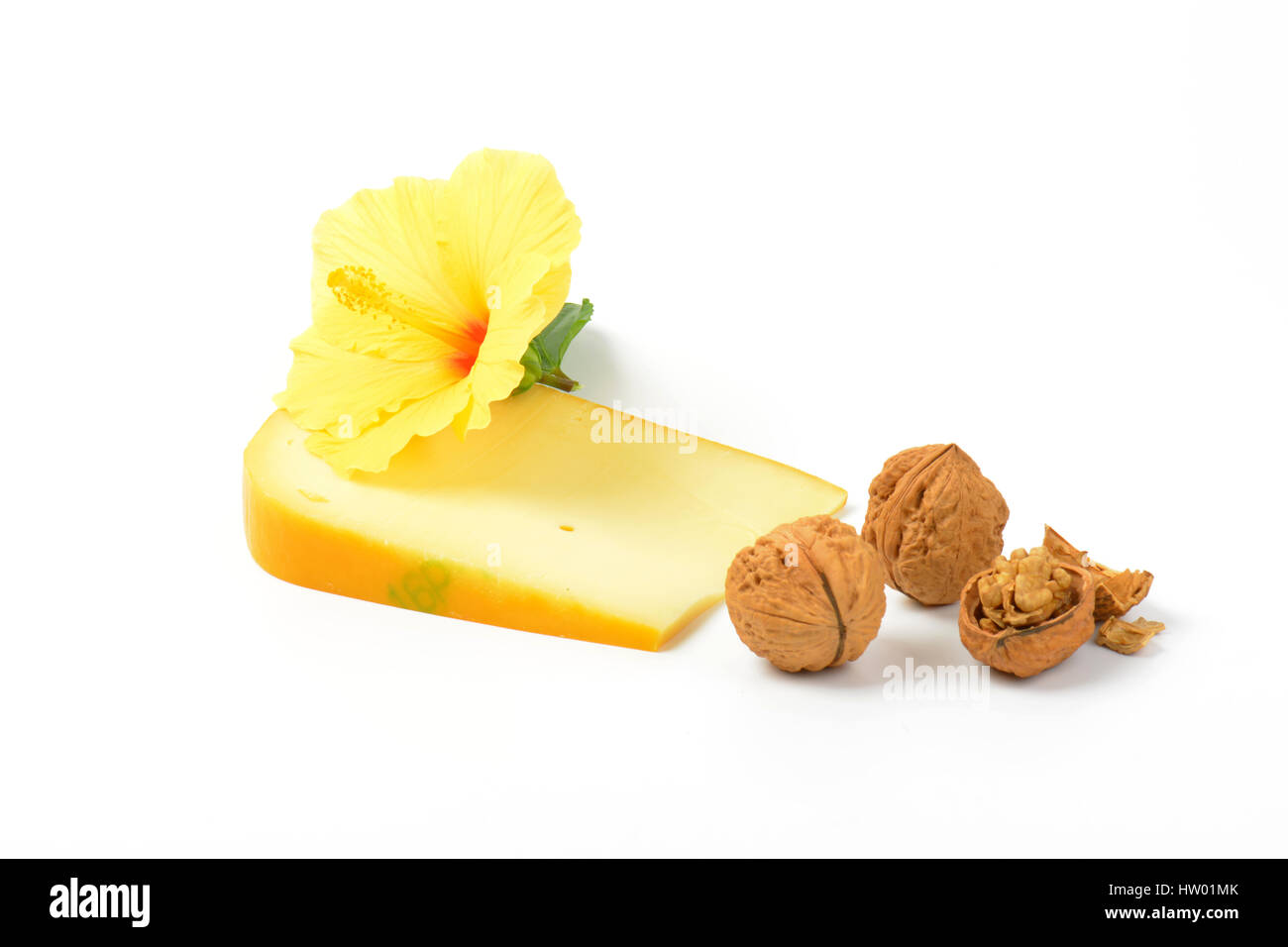 slice of gouda cheese with walnuts and hibiscus flower on white ...