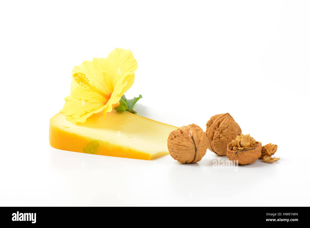 slice of gouda cheese with walnuts and hibiscus flower on white ...
