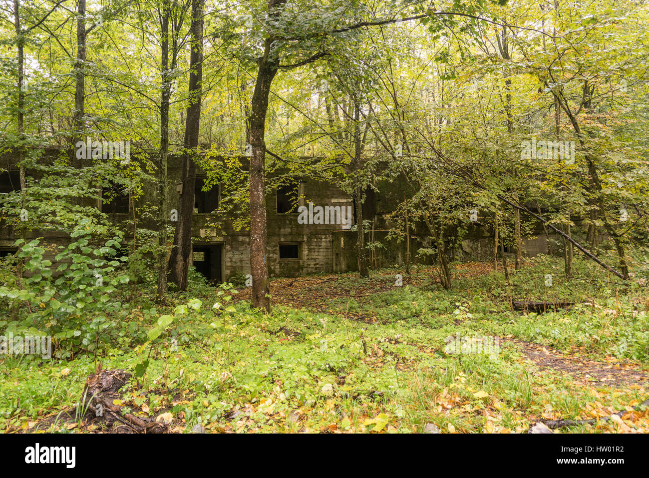 Wolf's Lair, Adolf Hitler's Bunker in Poland. First Eastern Front ...