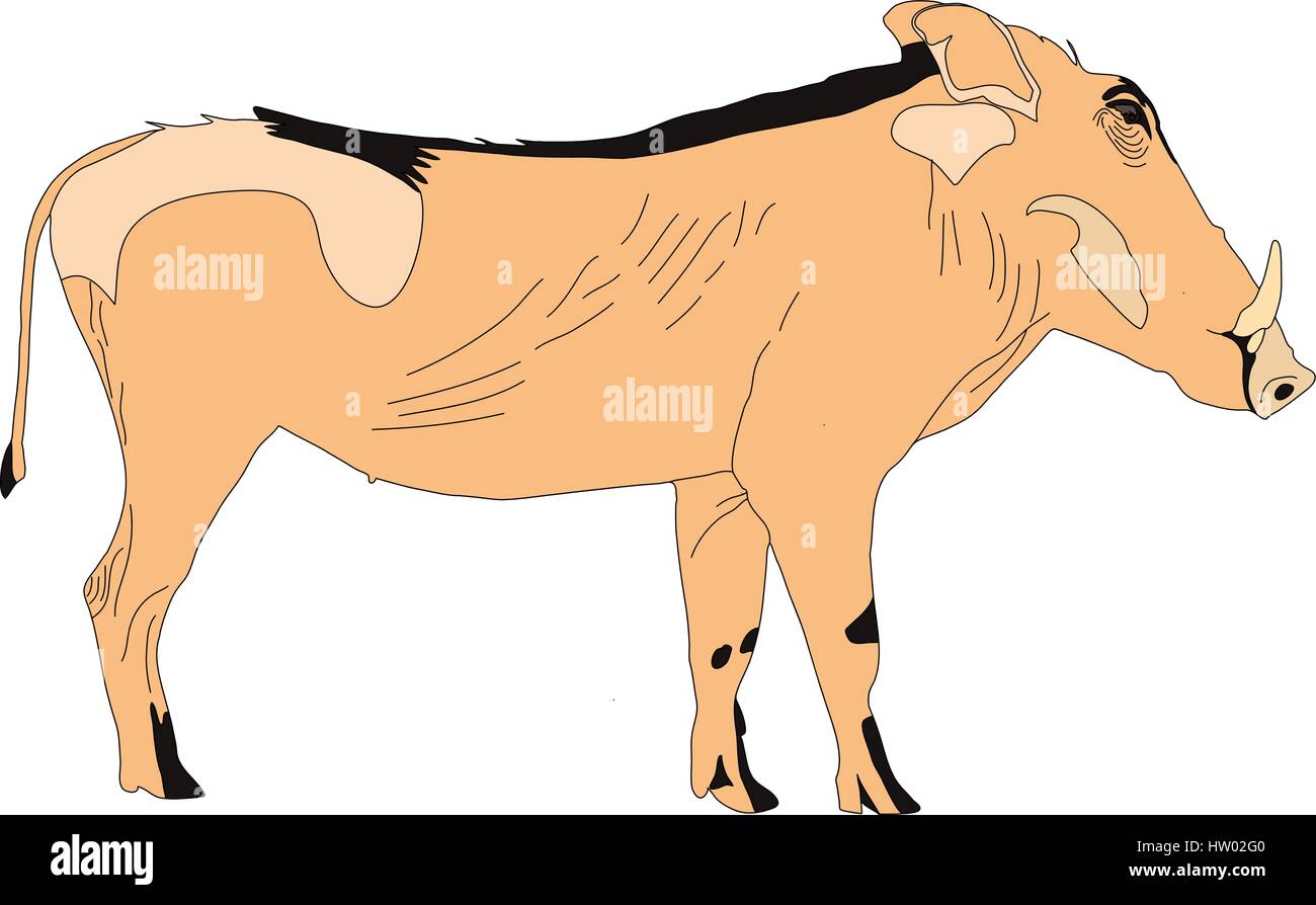 Side view portrait white Stock Vector Images - Alamy